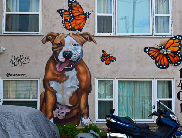 Los Angeles California Street Art Scene is Incredible